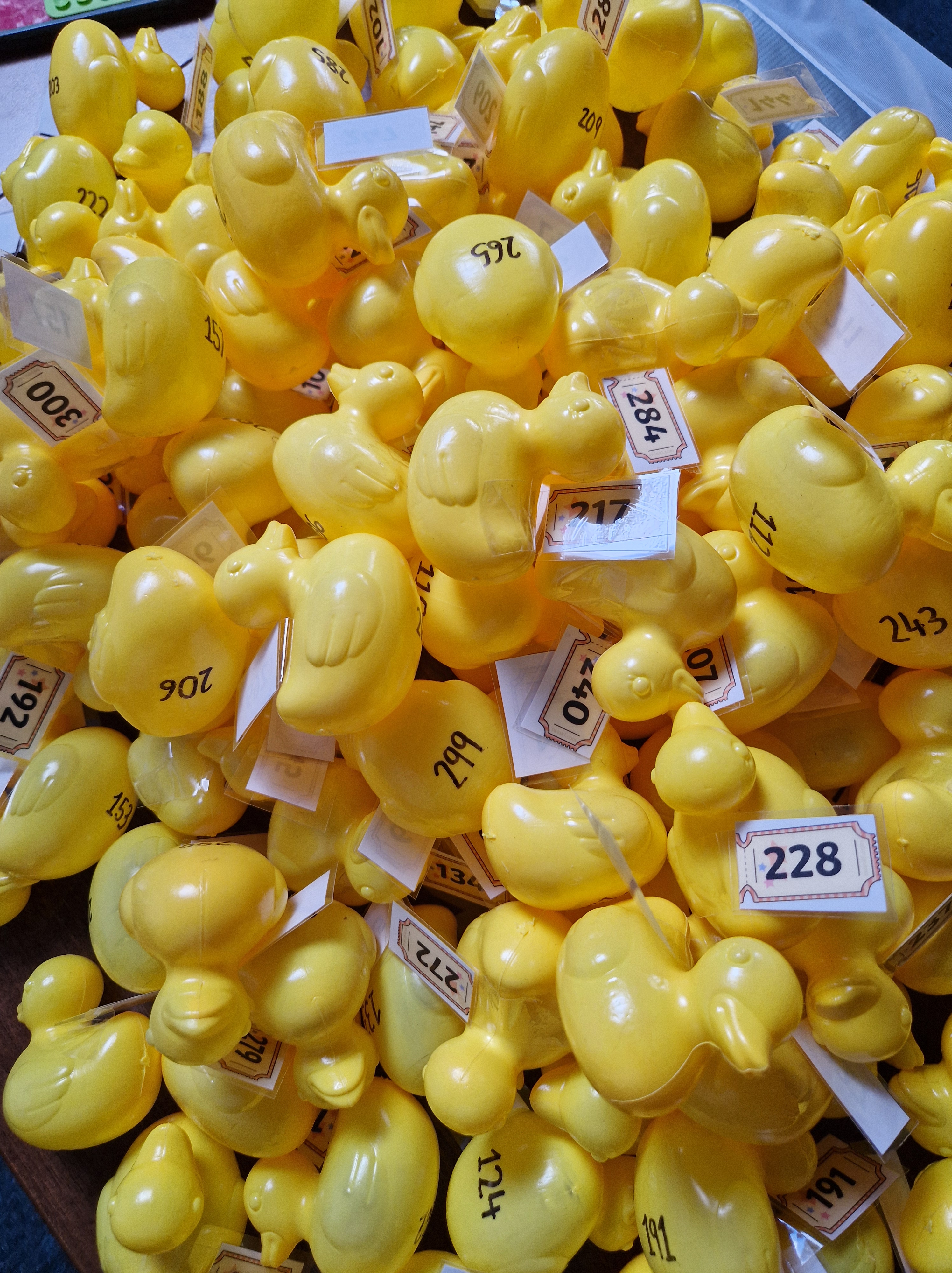 2025 – Chuck a Duck – Isle of Wight Island Games Swimming